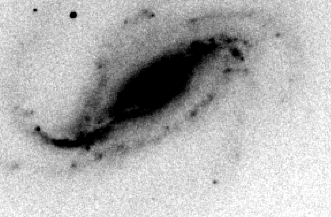 An amateur astronomer accidentally caught an exploding star on camera ...