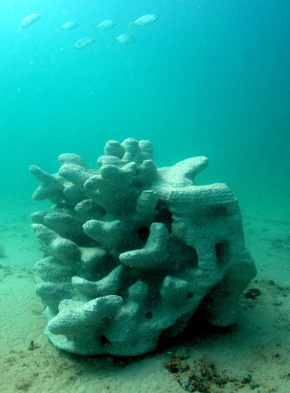 3D Printing Could Save Coral Reefs | Popular Science