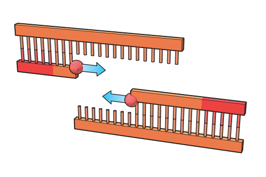 Gene Machine | Popular Science