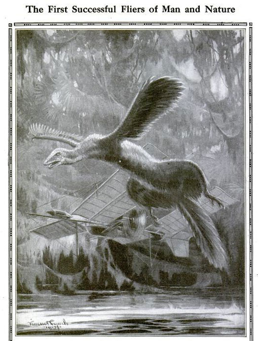 Archive Gallery: The Best of Biomimicry | Popular Science