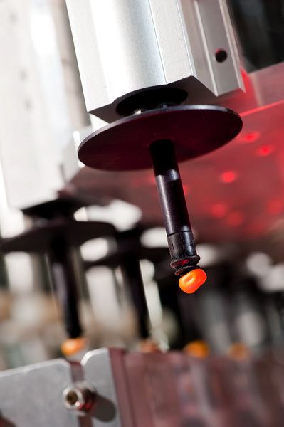 How To Genetically Modify a Seed, Step By Step | Popular Science