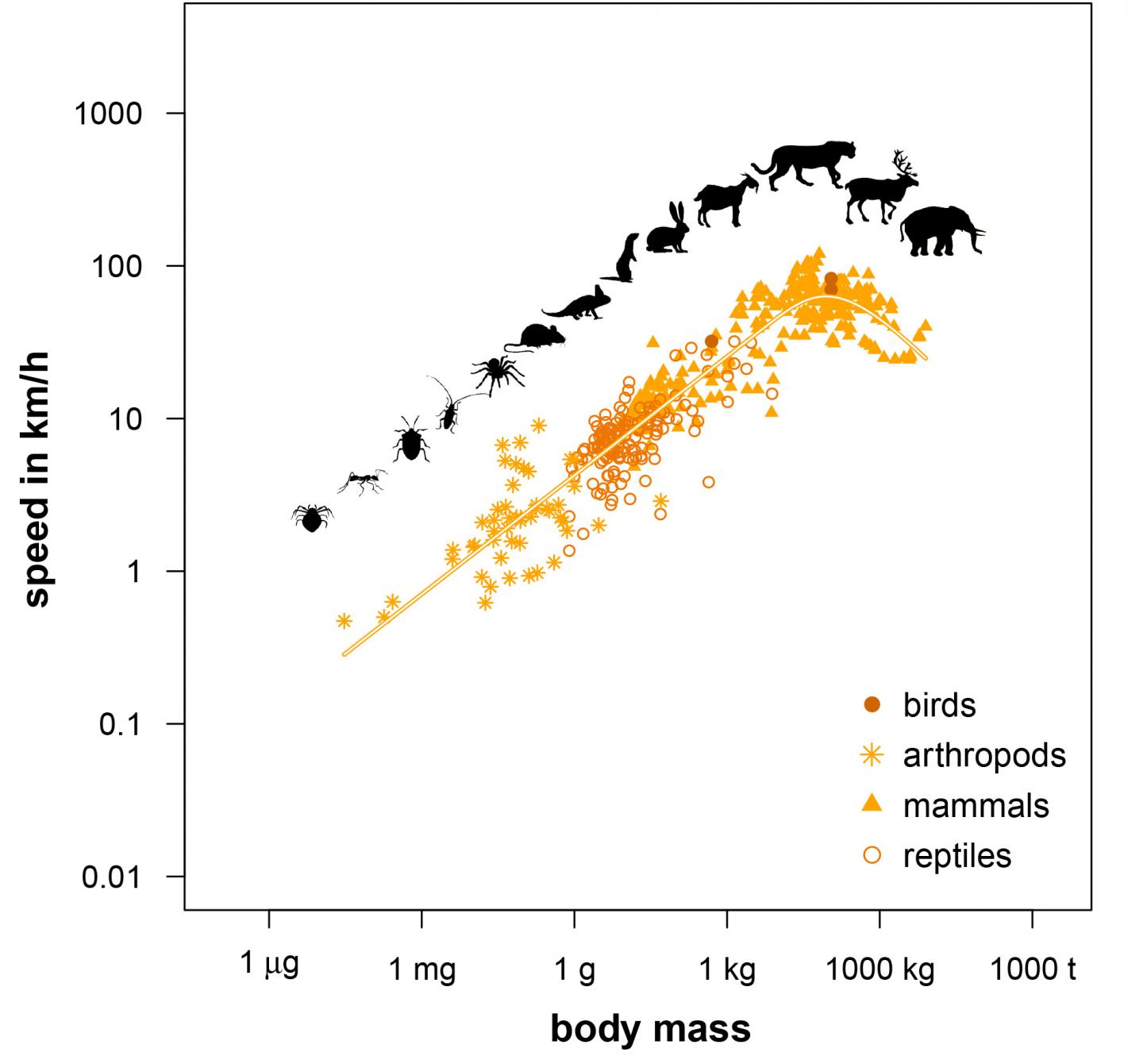 You might be able to outrun a T. rex, but only in a sprint