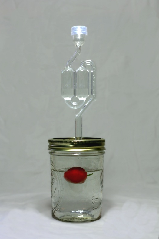 The Canning Jar: Ultra-Versatile Tool of the Modern Kitchen