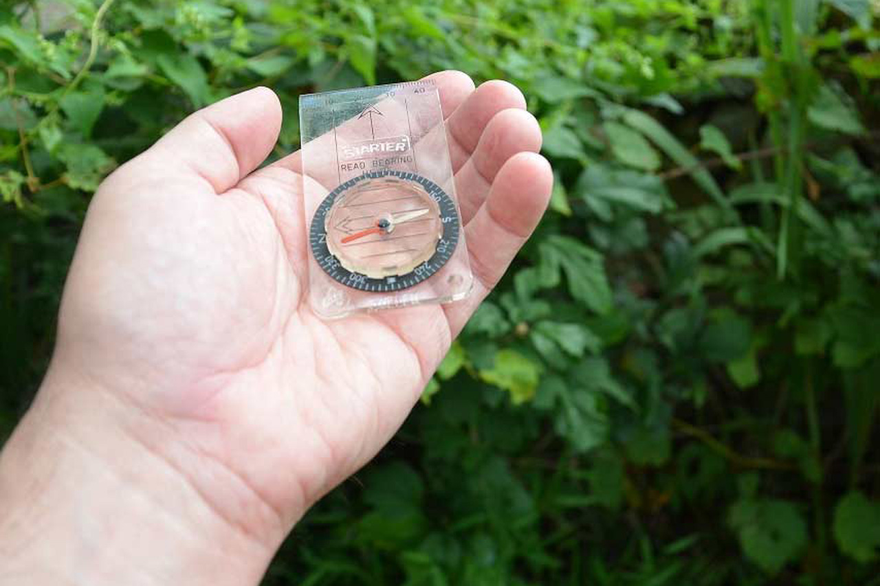 11 survival tricks to keep you safe in the woods | Popular Science