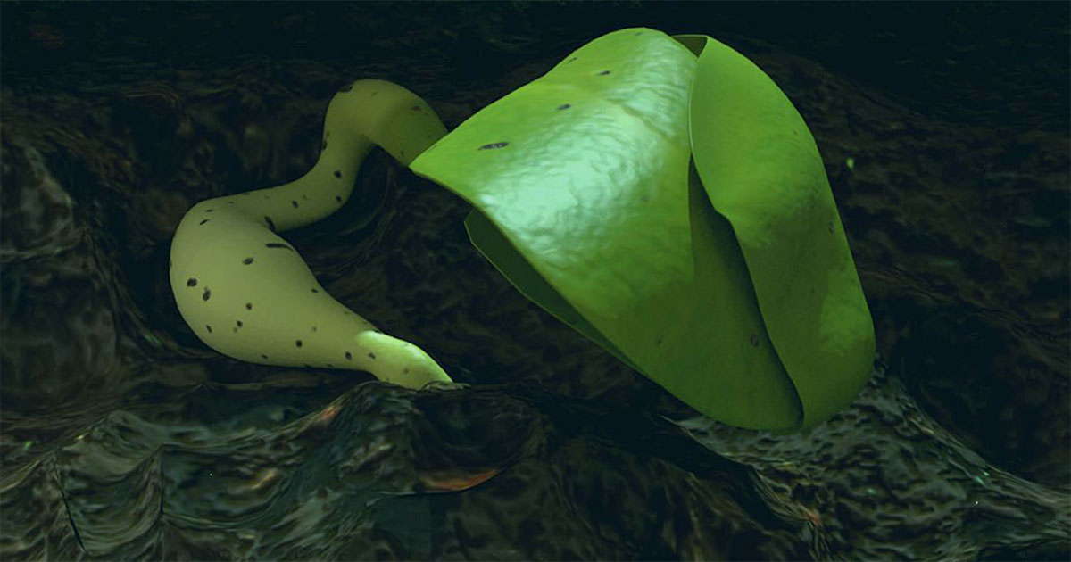 How China got the first seedling to sprout on the moon | Popular Science