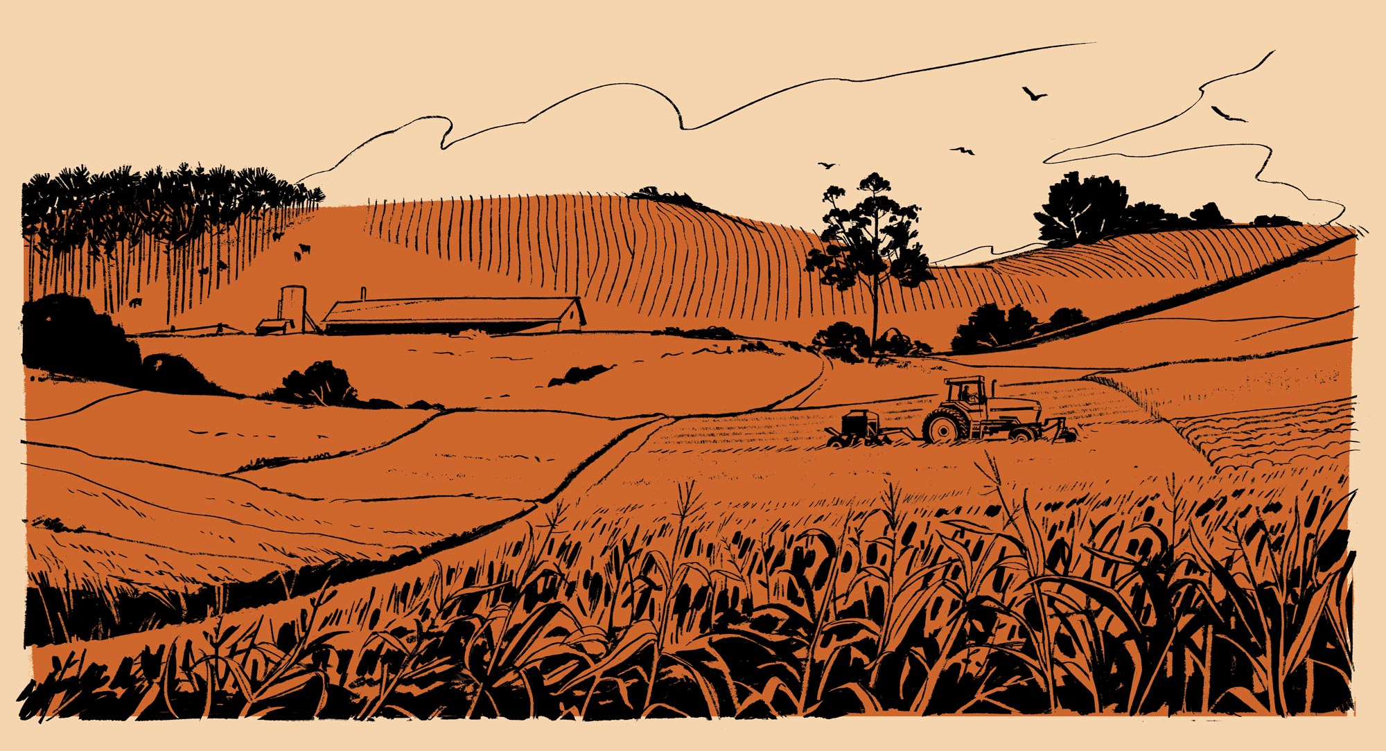 Brian Barth | Popular Science