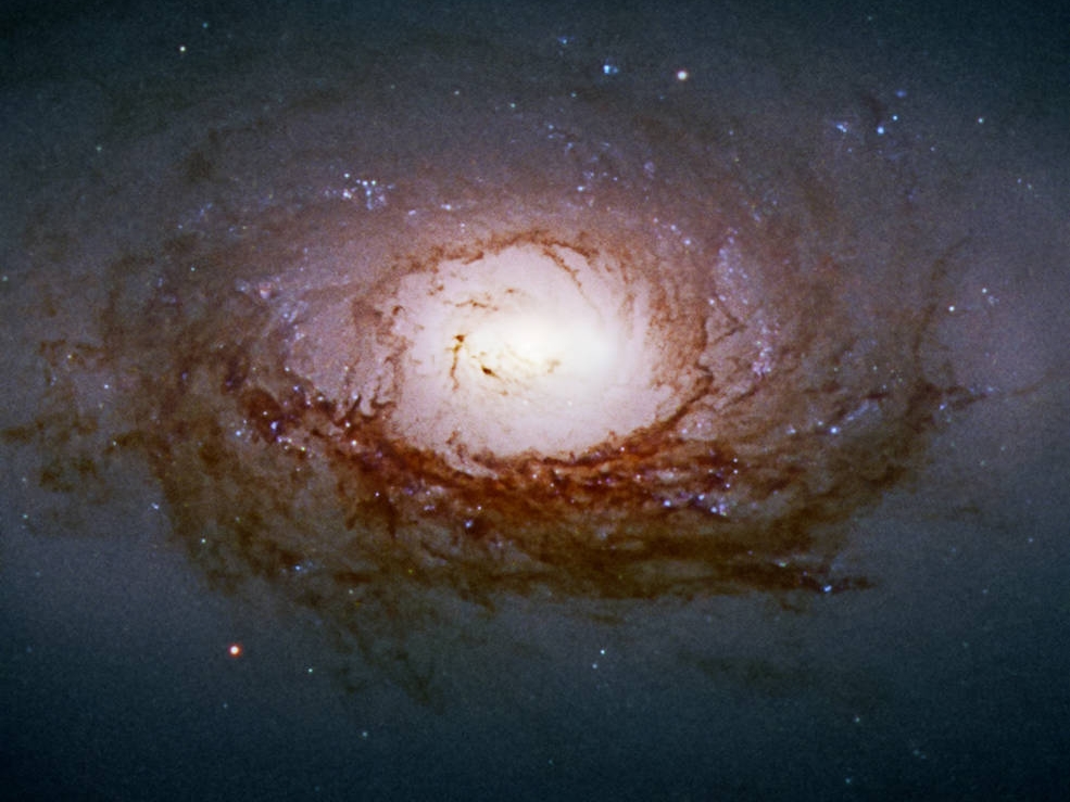Celestial objects you can spot from your backyard | Popular Science