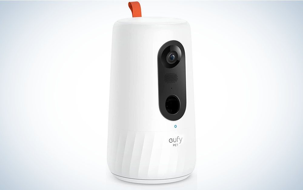 The best dog cameras of 2024 | Popular Science