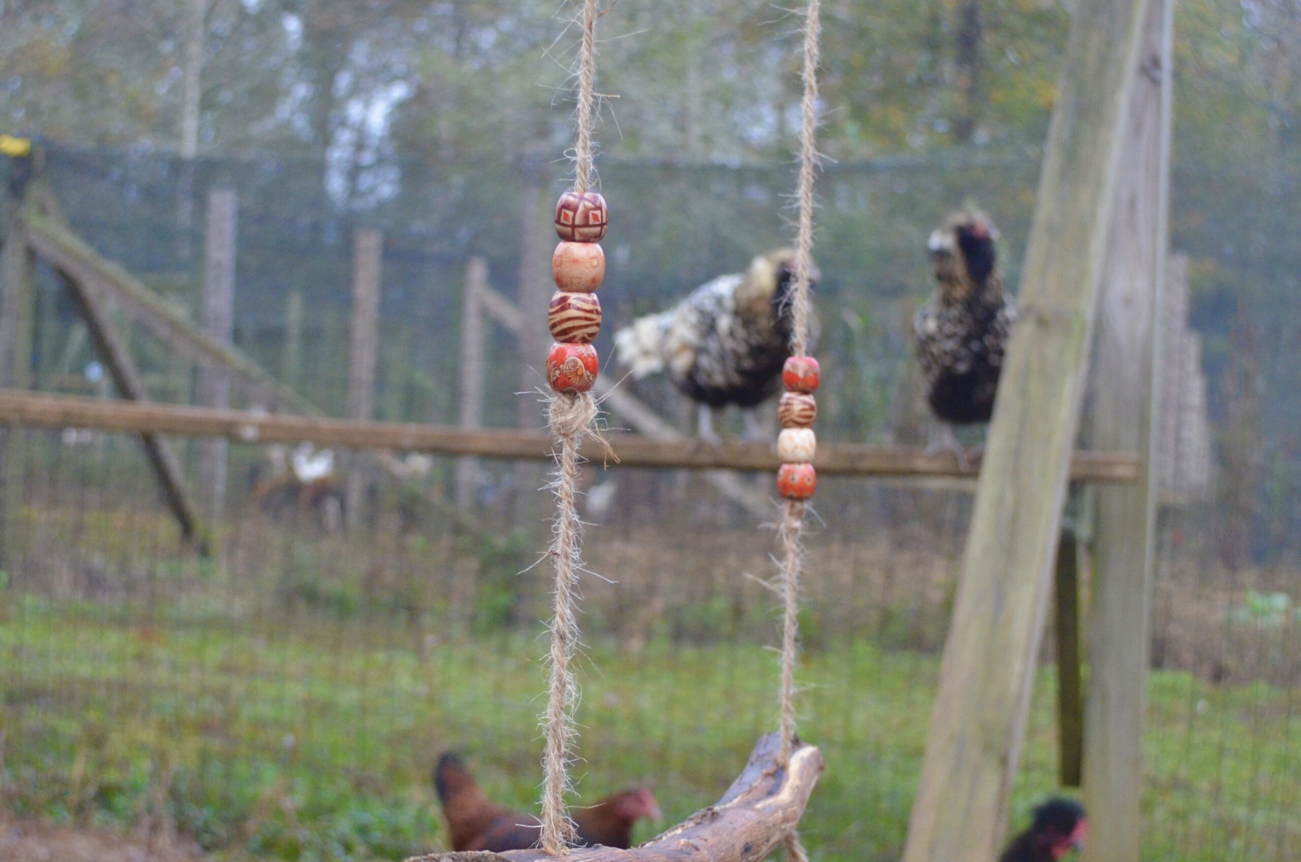 How to build a DIY chicken swing | Popular Science