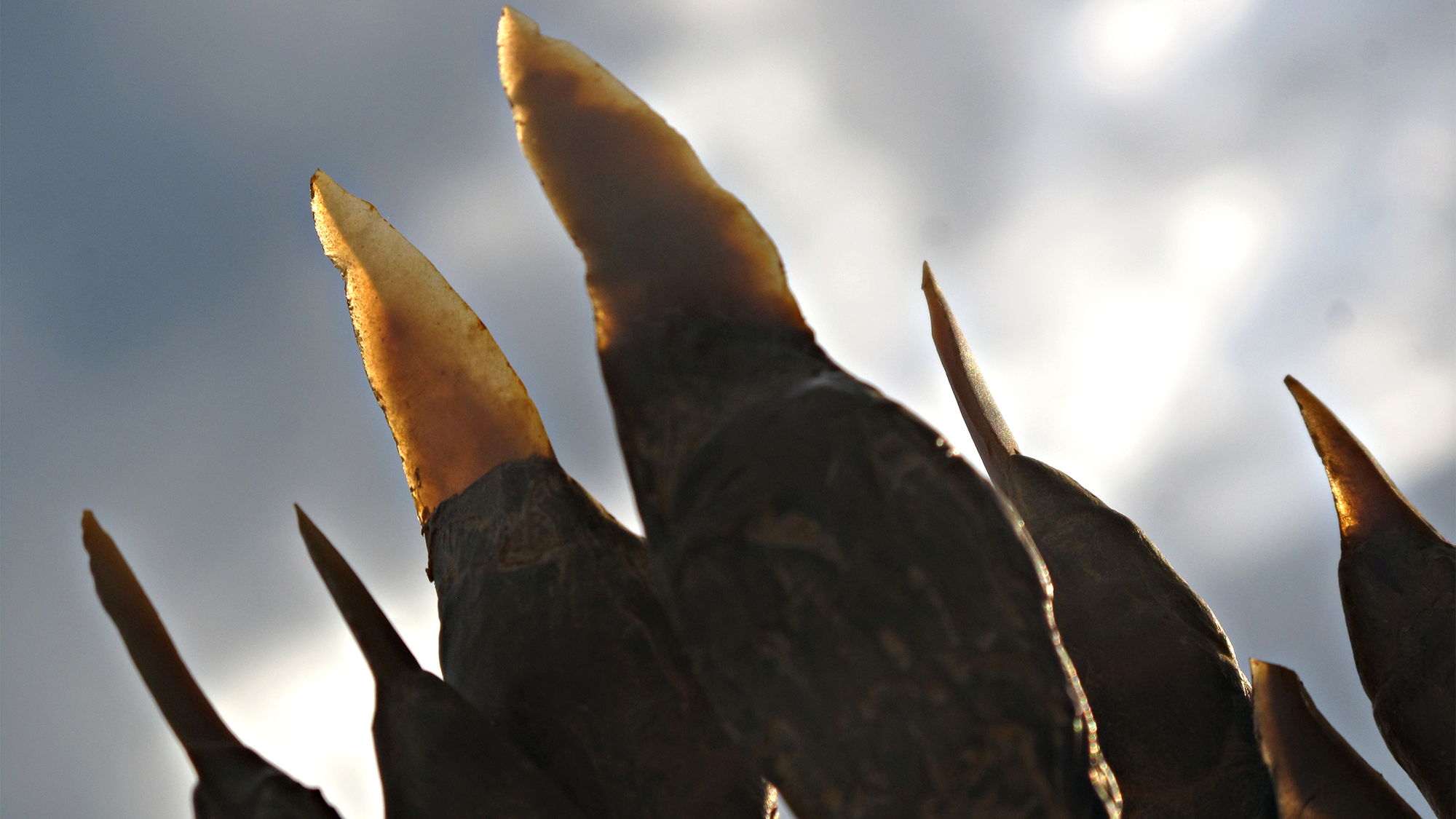 Archaeologists find early evidence of archery in Europe | Popular Science