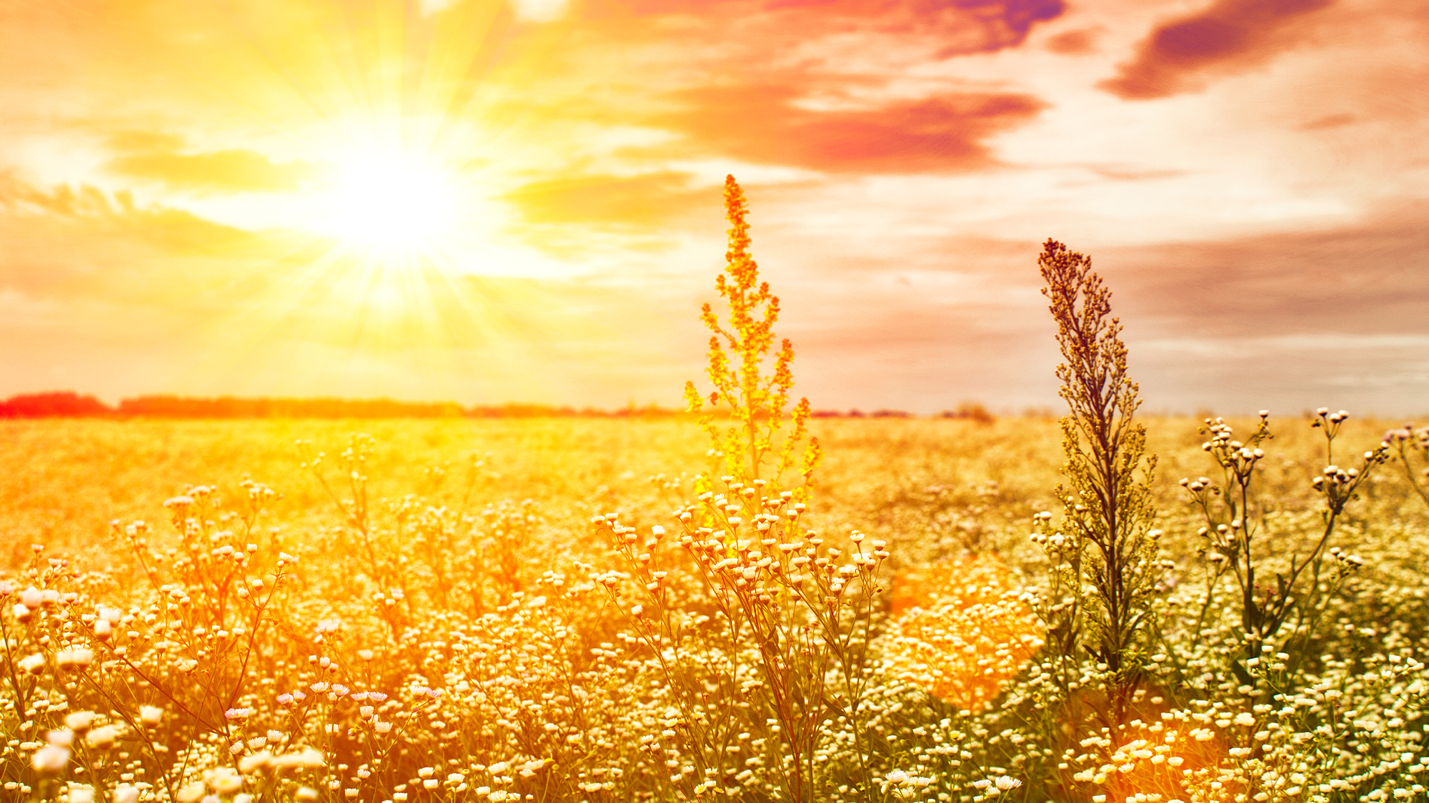 Summer is off to a particularly hot start | Popular Science