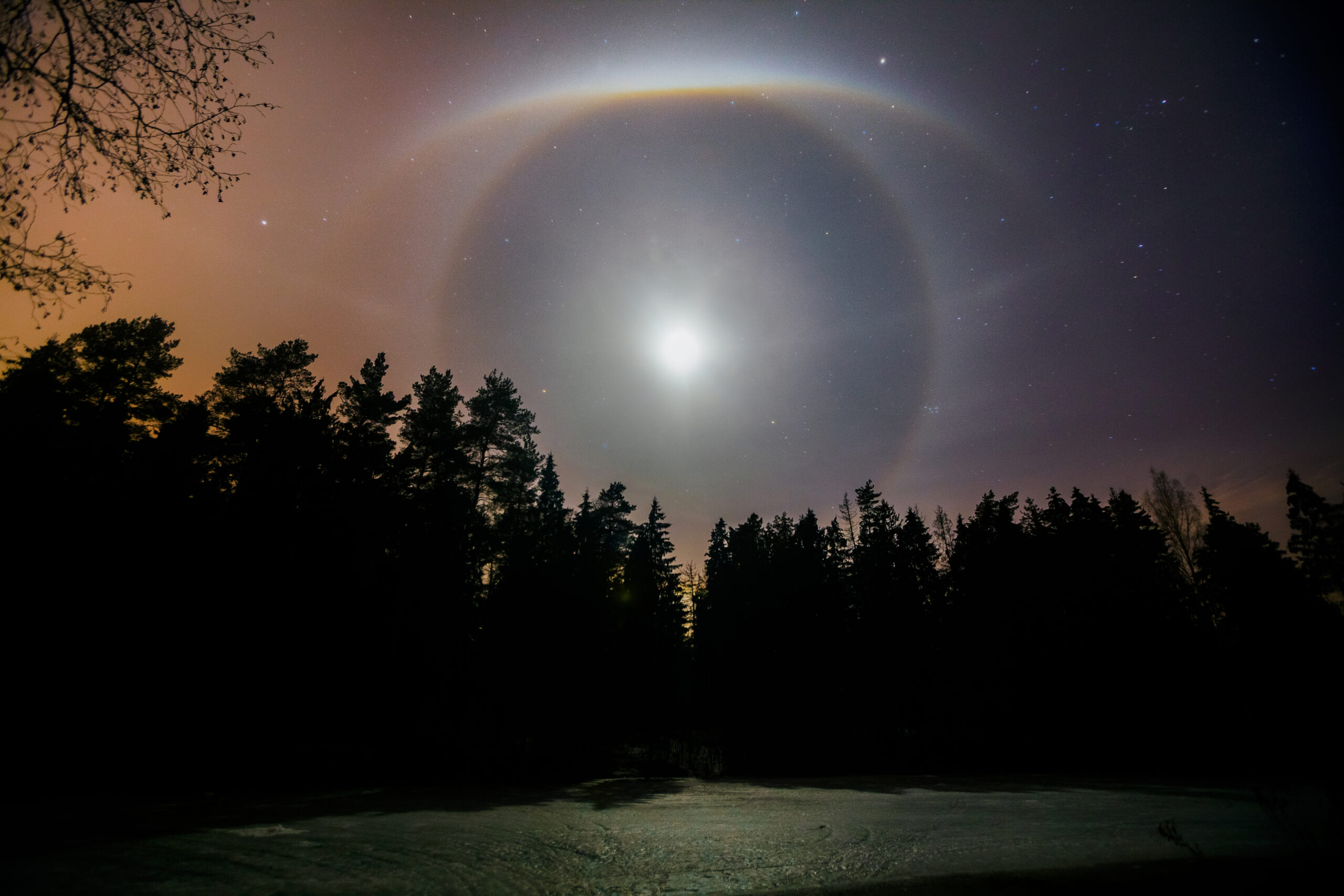 16 stunning photos of scientific phenomena in action