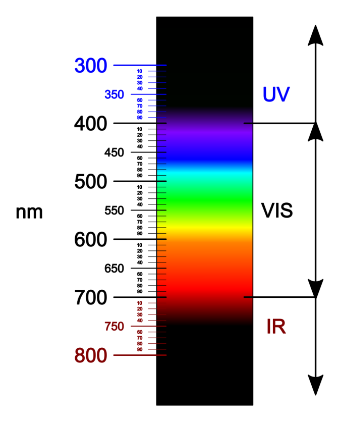 There’s a lot to learn about how blue light affects our eyes