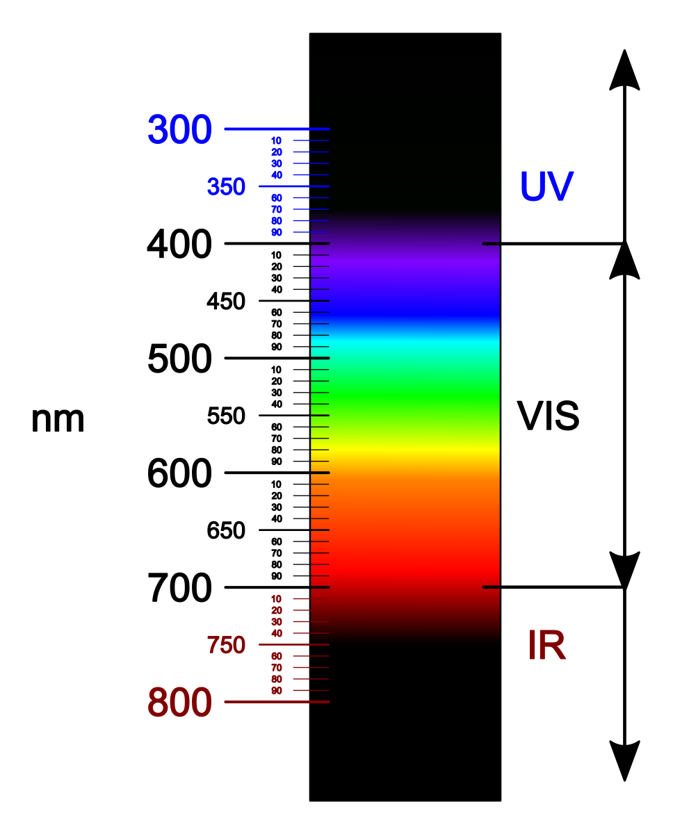 There’s a lot to learn about how blue light affects our eyes