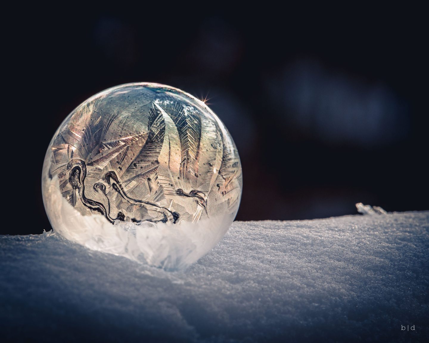 We asked for your best photos of frozen soap bubbles—and wow, did you ...
