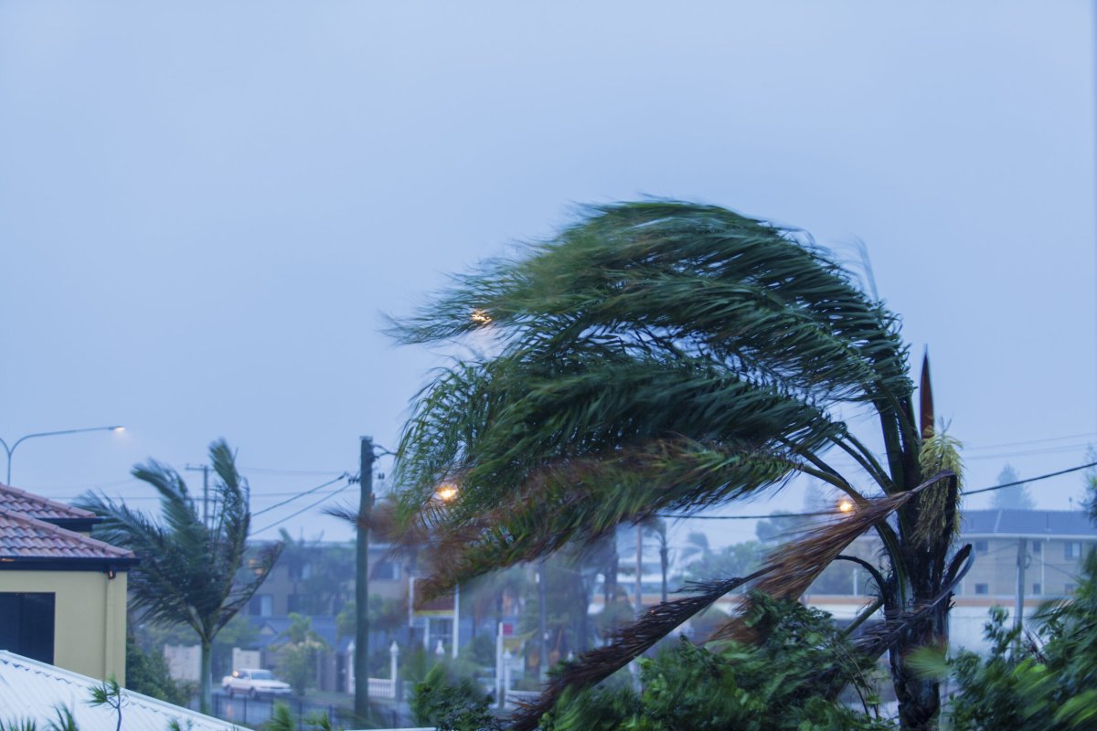 Hurricane forecasts can be confusing—here's a helpful glossary