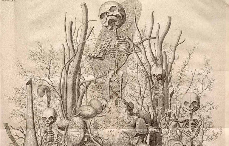 The weirdest things we learned this week: baby skeleton art, zombie ...