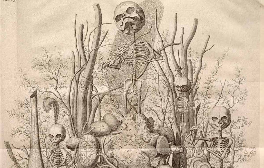 The weirdest things we learned this week: baby skeleton art, zombie ...