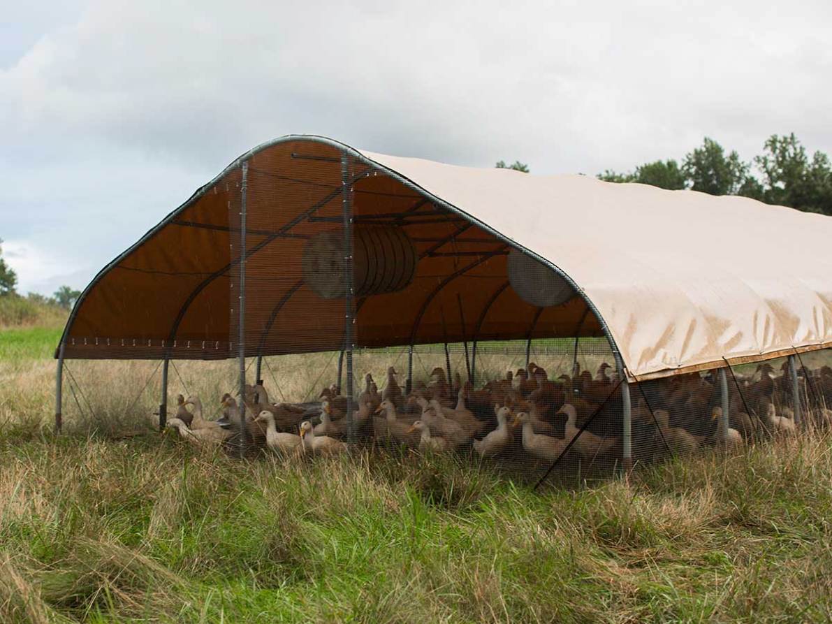 Your guide to cooking a sustainable holiday meal