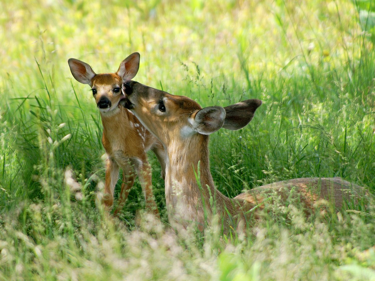Like other animals, humans have a breeding season—and it’s right now