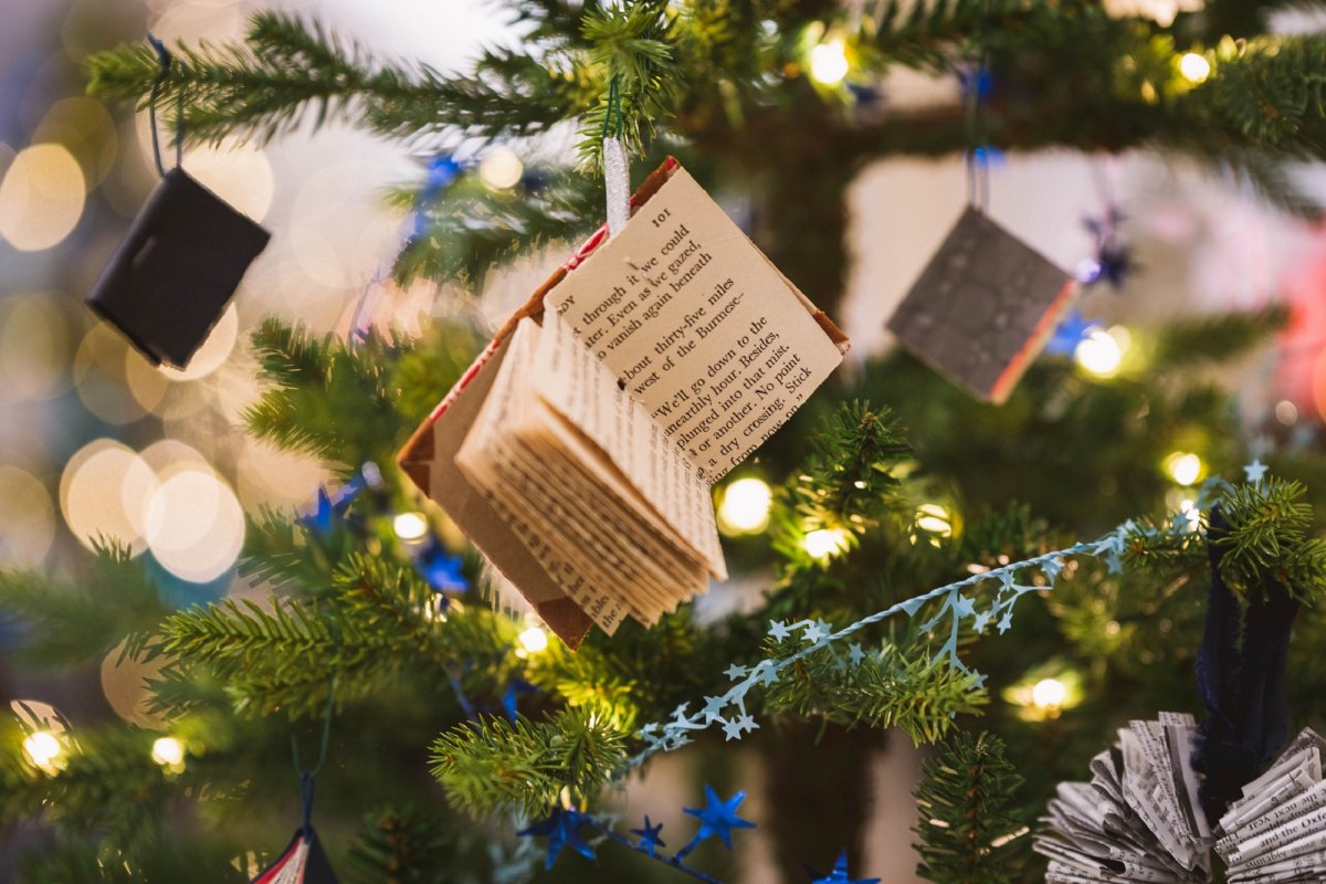 Keep your Christmas tree fresh with these tips | Popular Science