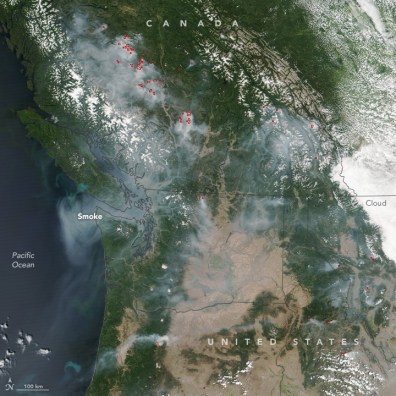 This is how much of the world is currently on fire