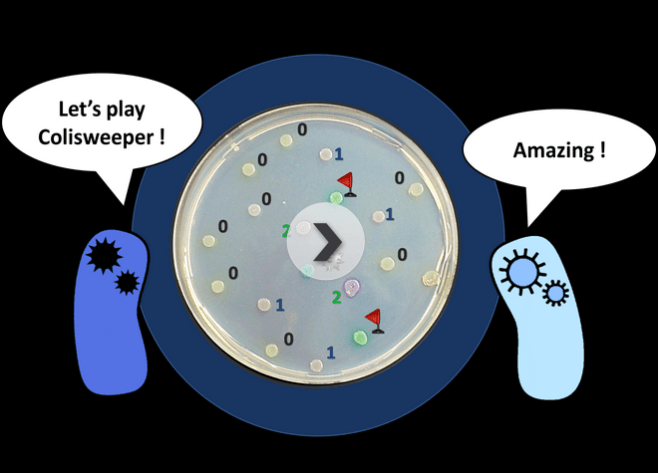 The 9 Coolest Student Biology Projects At The 2013 iGEM Competition