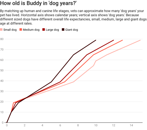 A veterinarian explains what dog and cat years really mean