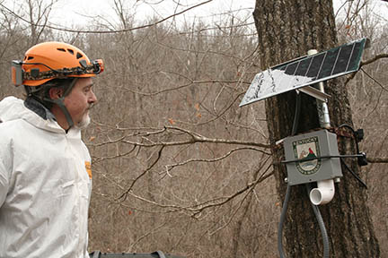 Holy Harp Trap, Batman! The gear researchers use to study bats
