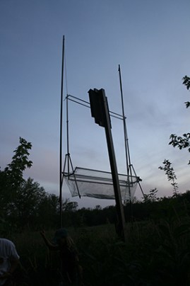 Holy Harp Trap, Batman! The gear researchers use to study bats