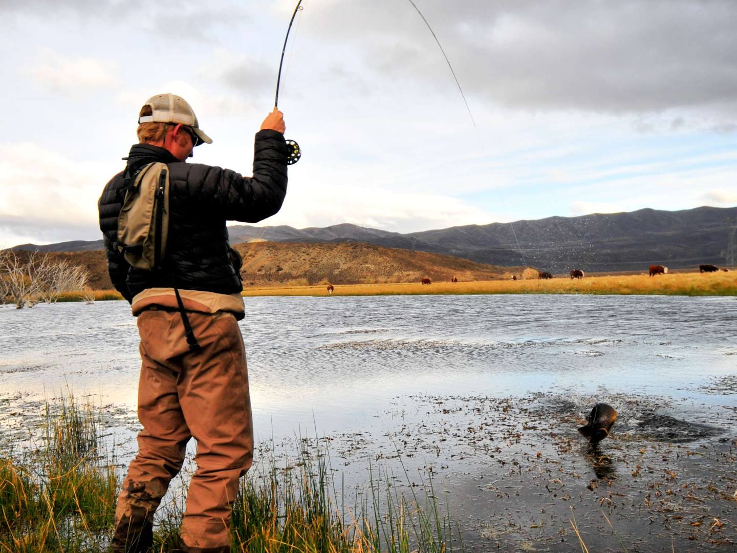 A beginner’s guide to catching trout—even in autumn