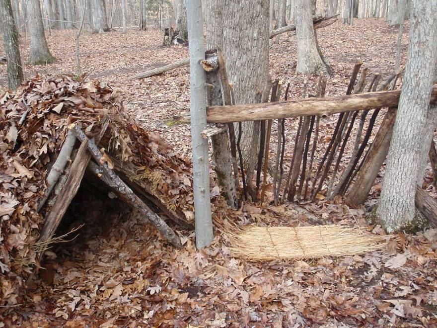 The 10-step guide to survival in an emergency