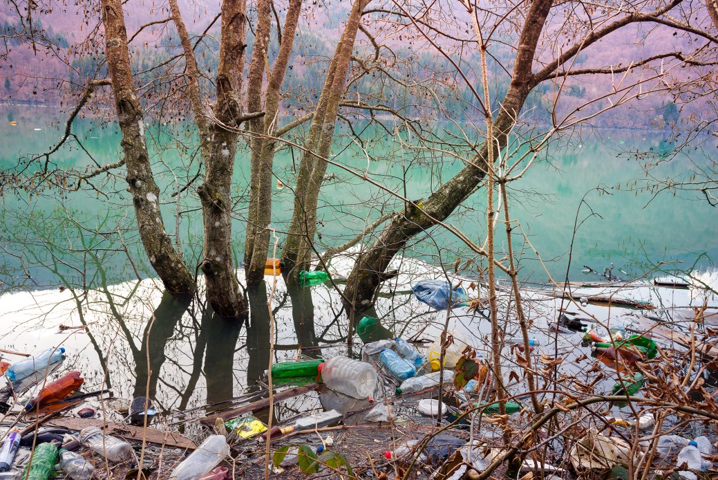 Humans have created 9.1 billion tons of plastic. Here's how you can ...