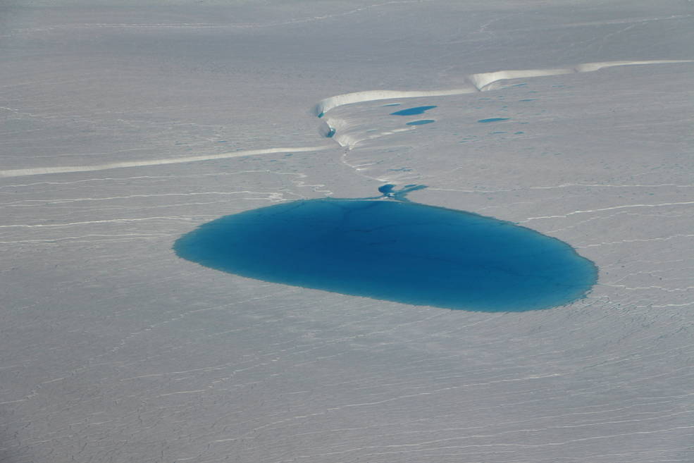 Sea ice, before it's too late