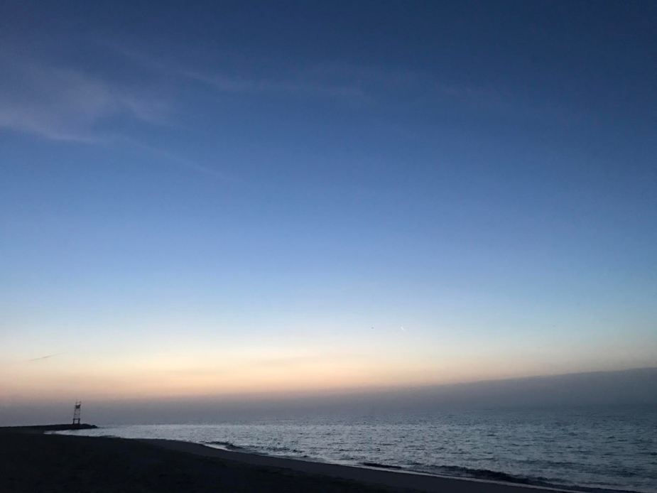 Seven tips for shooting nature photos with your smartphone camera