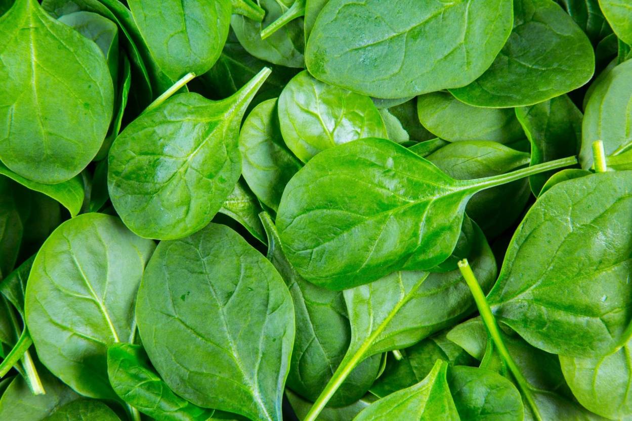 How to turn a spinach leaf into a human heart