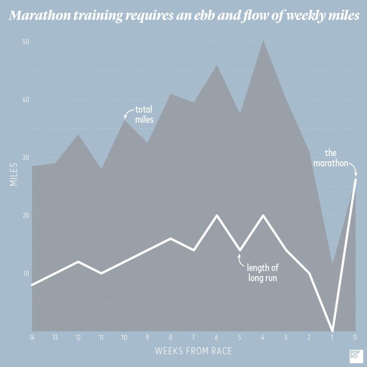 Science helped me run my first marathon in 3 hours and 21 minutes