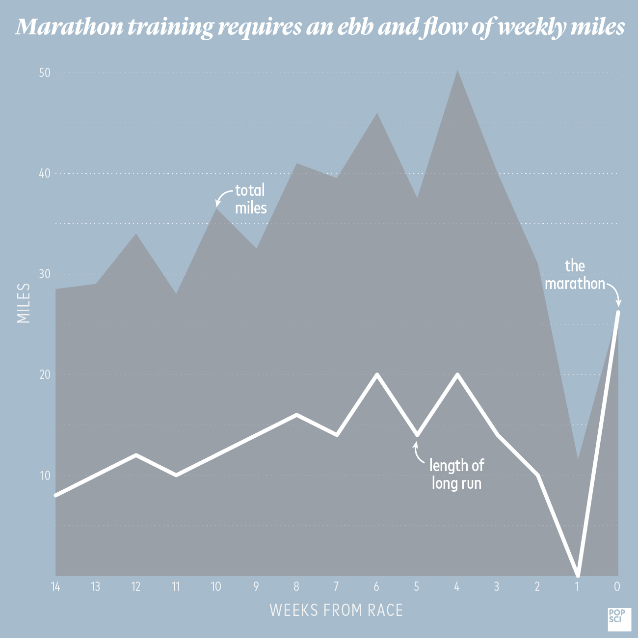 Science helped me run my first marathon in 3 hours and 21 minutes