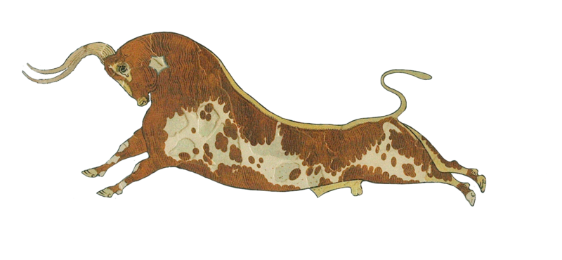 The 7 best Google Docs anonymous animals, ranked