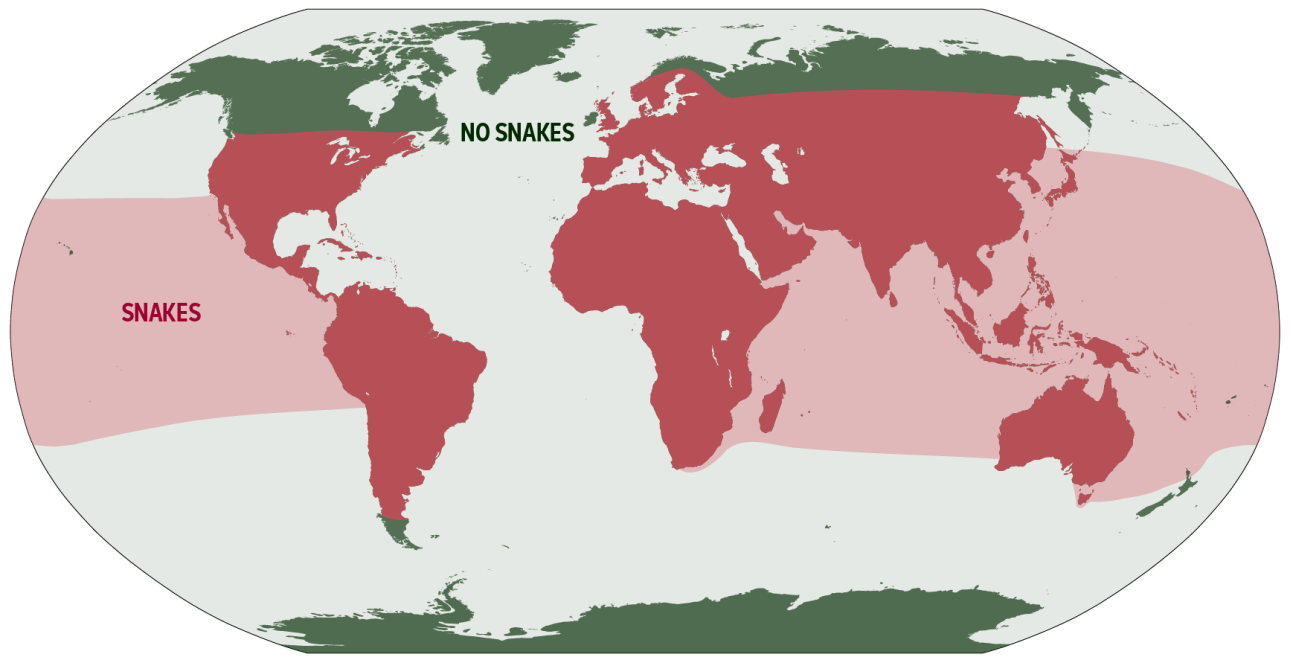 Learn about all the places with no snakes | Popular Science
