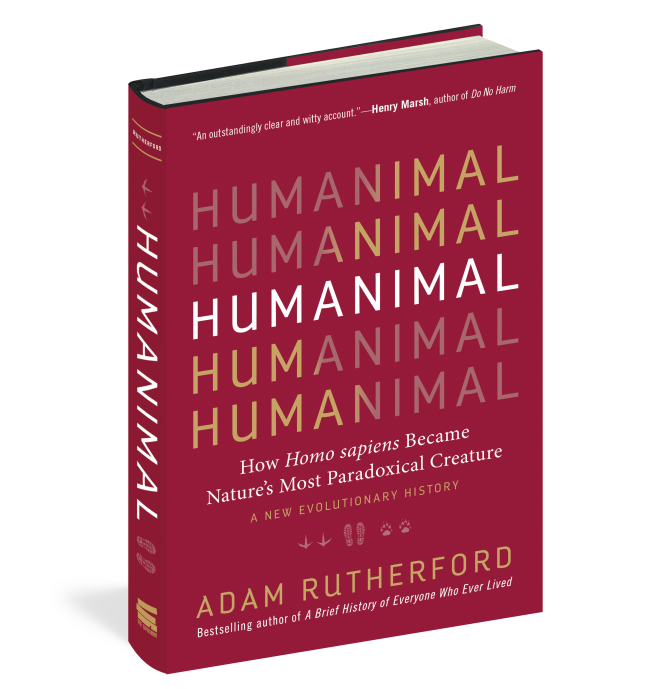 Rethinking what sets humans apart starts with asking if we're special ...