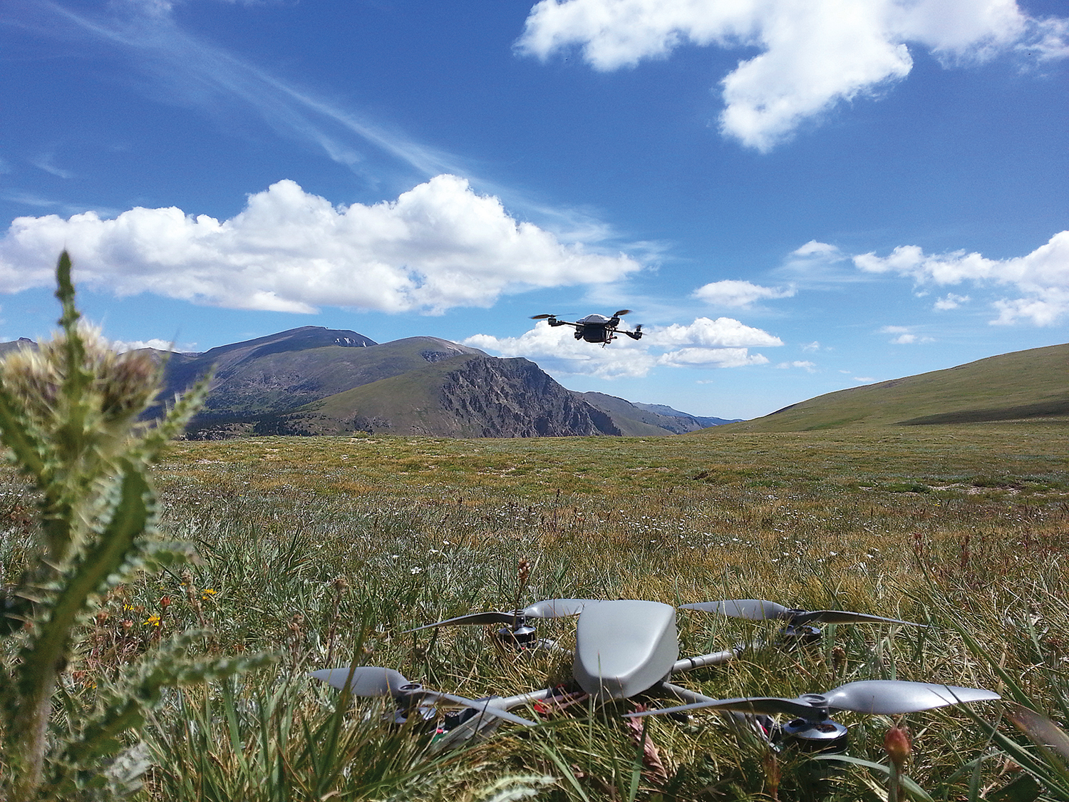 Rise Of The Insect Drones