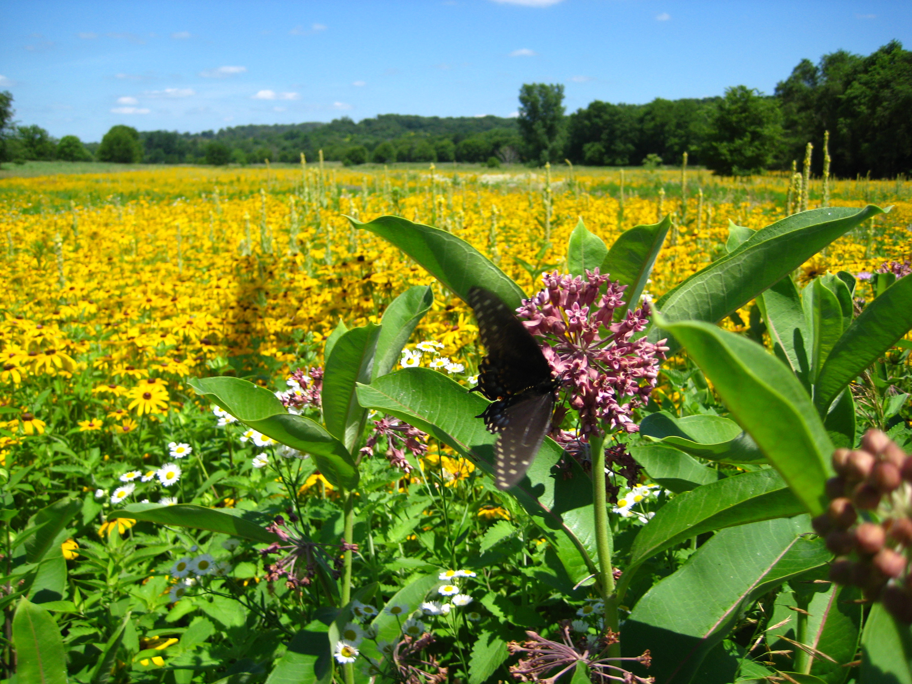 A small city in Iowa is devoting 1,000 acres of land to America's ...