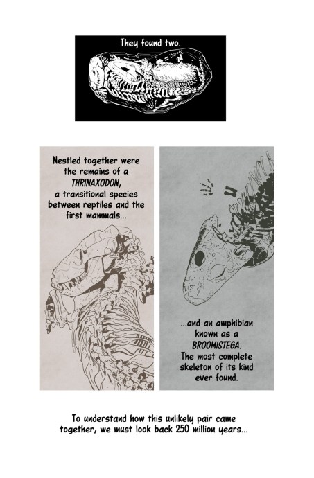 Meet The Triassic Period’s Oddest Couple