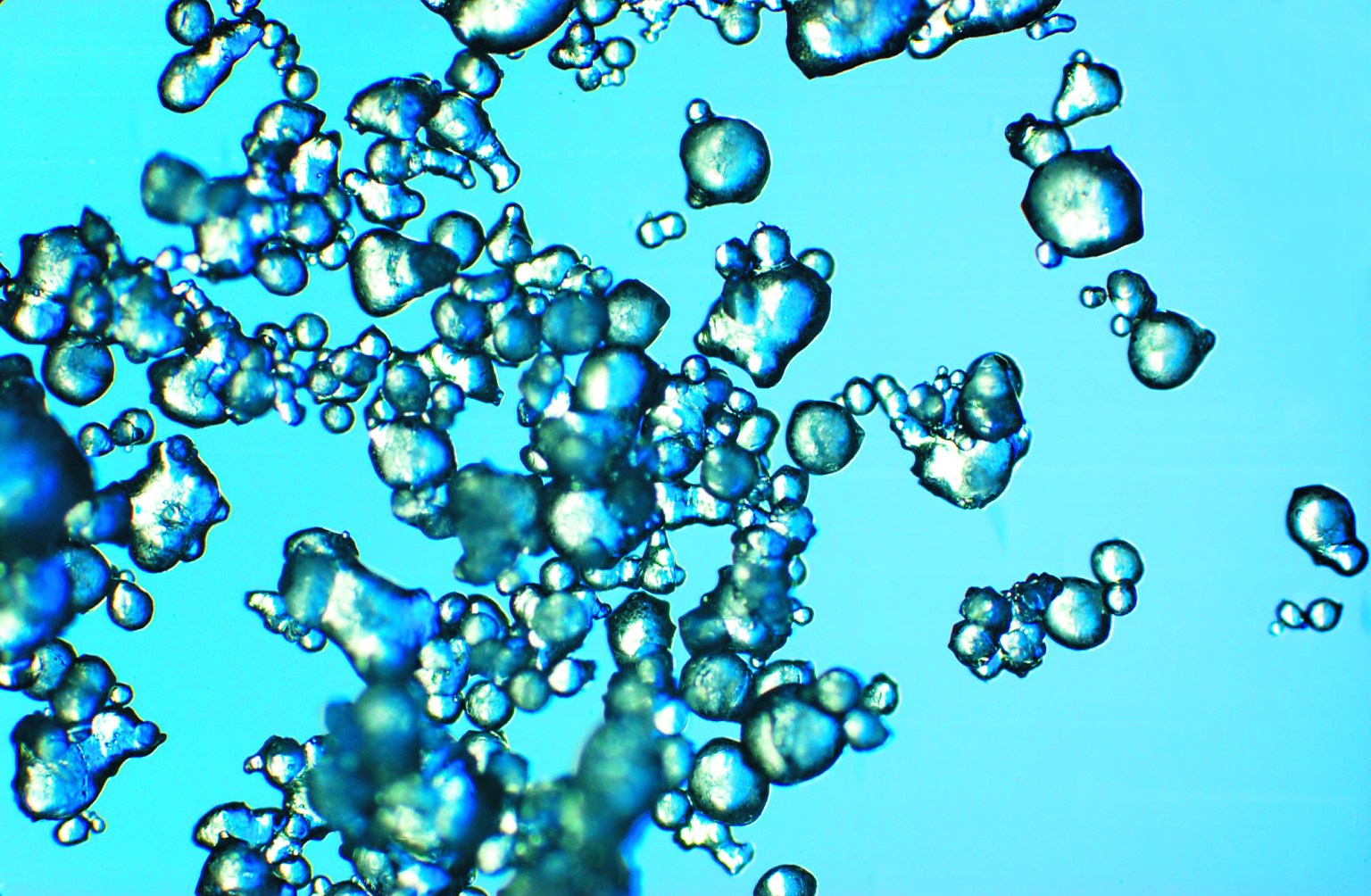 This Book Is A Complete Guide To The Science Of Snowflakes