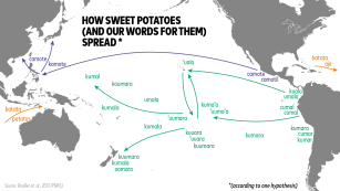 Why archaeologists are arguing about sweet potatoes