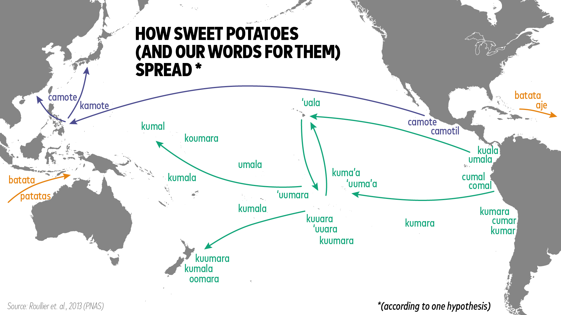 Why archaeologists are arguing about sweet potatoes