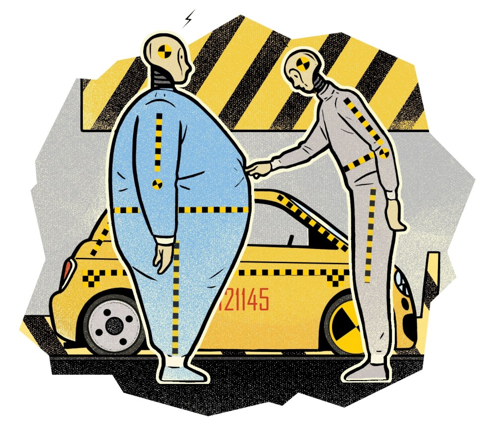 Ask Anything: Can Insects Get Fat?