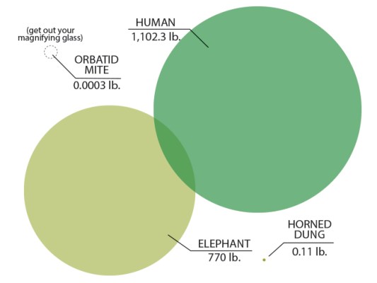 Graphs of the world's most powerful animals | Popular Science