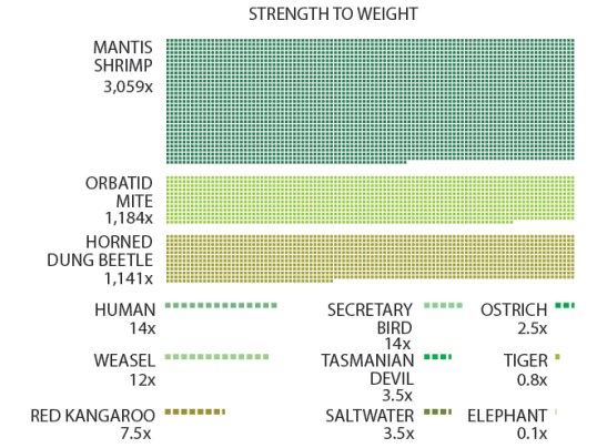 Graphs of the world's most powerful animals | Popular Science